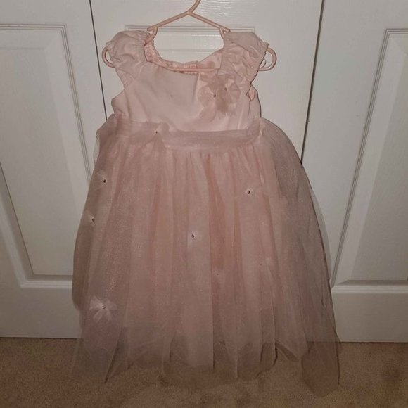 Biscotti | Dresses | Baby Biscotti Fancy Pink Tulle Dress 3t | Poshmark